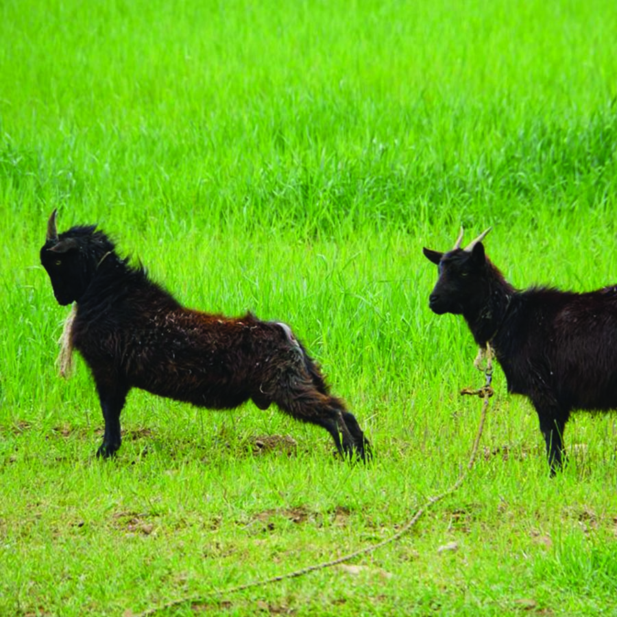16 개도 사람길 – 백섬백길